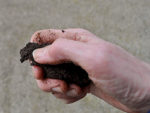 Three Simple Ways to Test Your Soil - BC Farms & Food